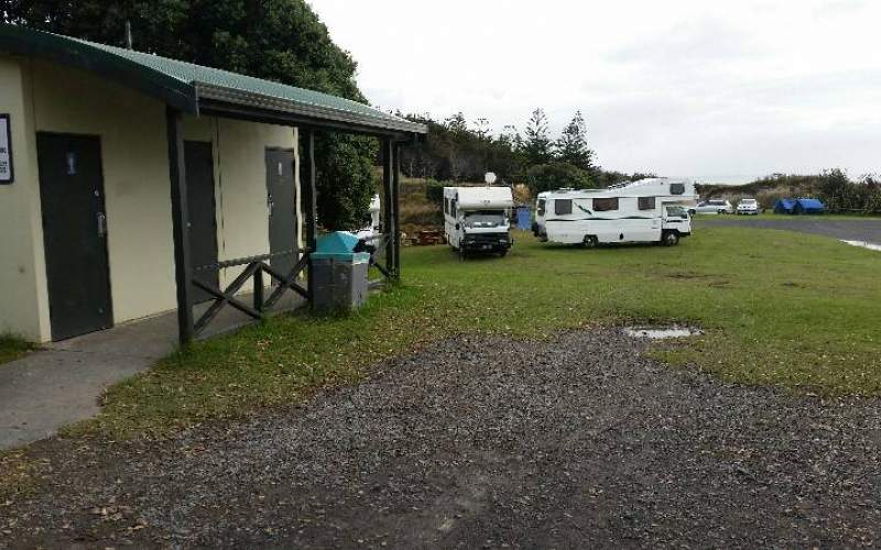 Te Arai Point Carpark | Freedom/Basic Camp | New Zealand